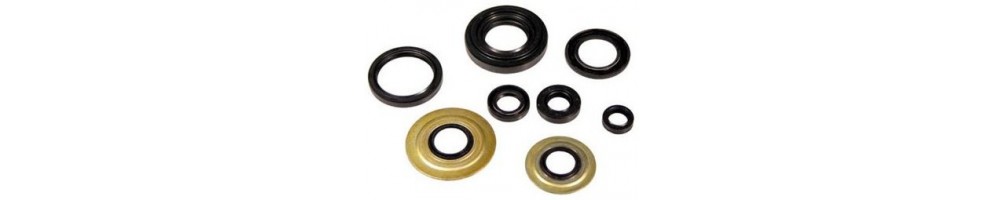 Kit retenes de motor completo